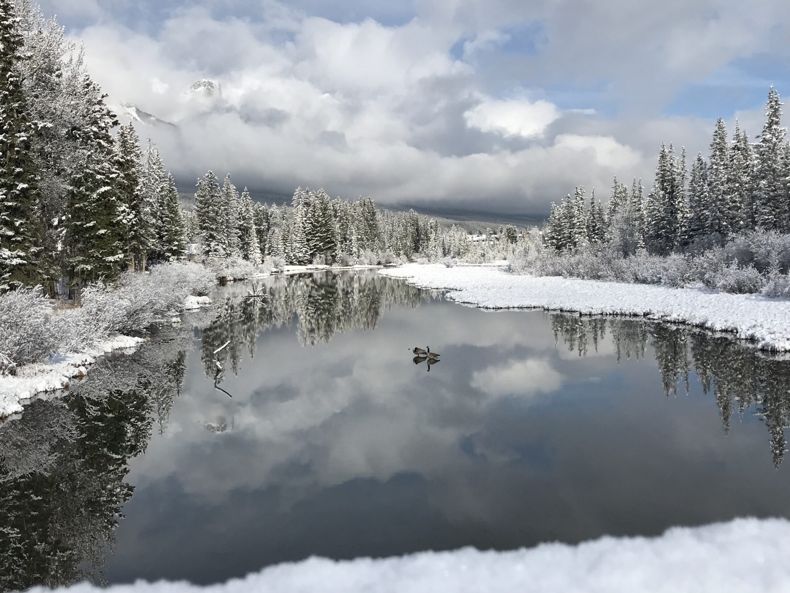 216 Grey Wolf Lodge - Find Your Escape